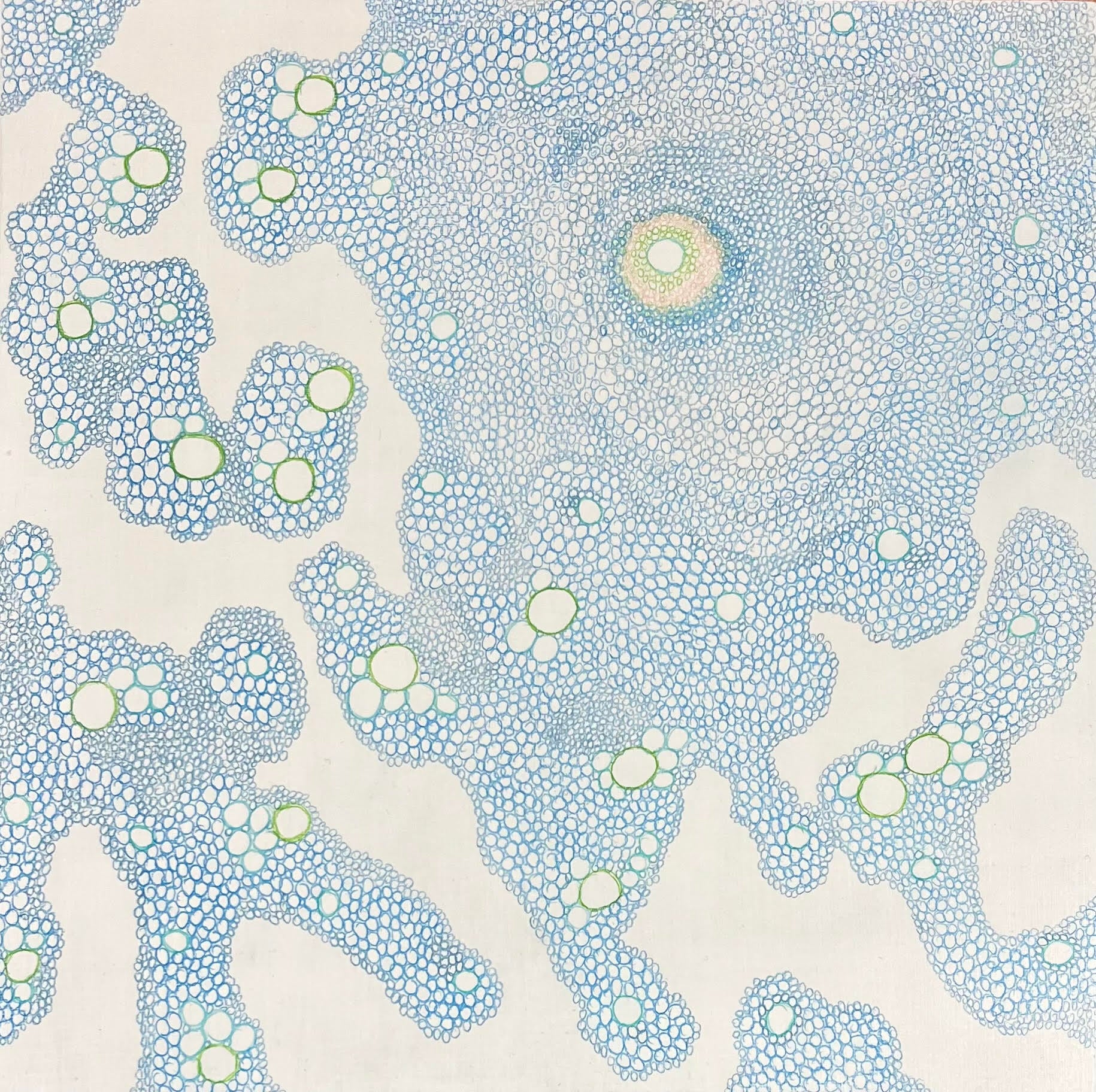 Biochromatic | ArtVan